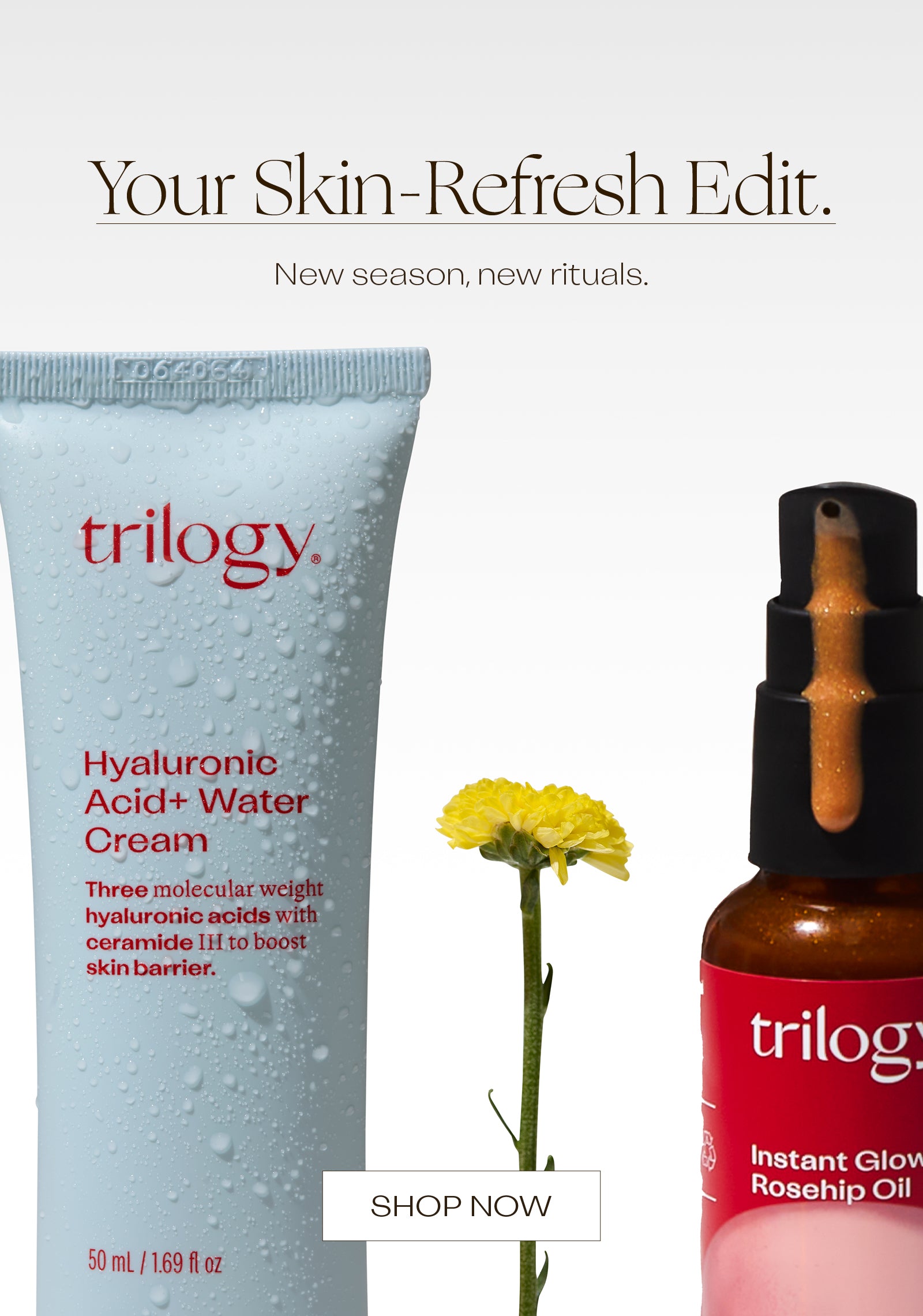 Trilogy UK